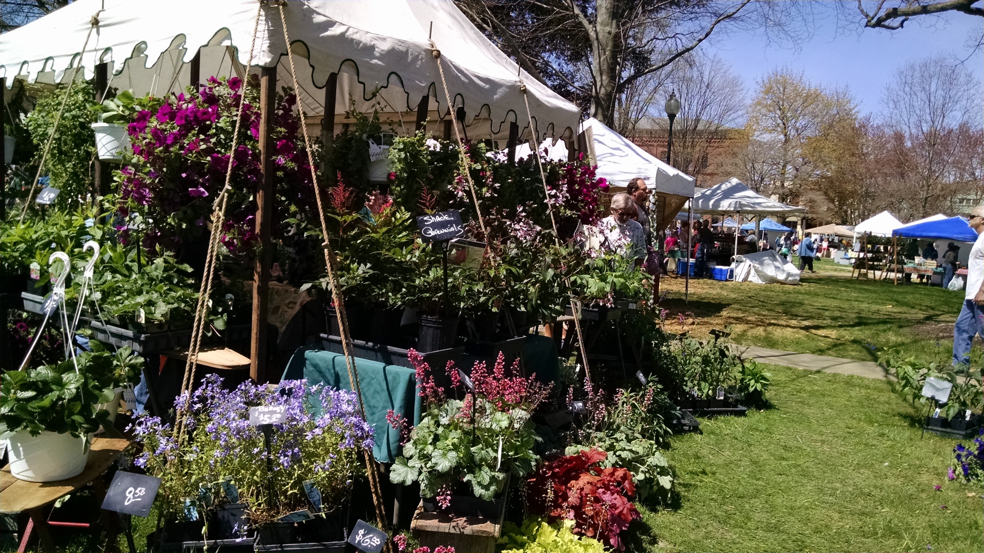 May Garden Mart - Fairlamb Lavender Farm