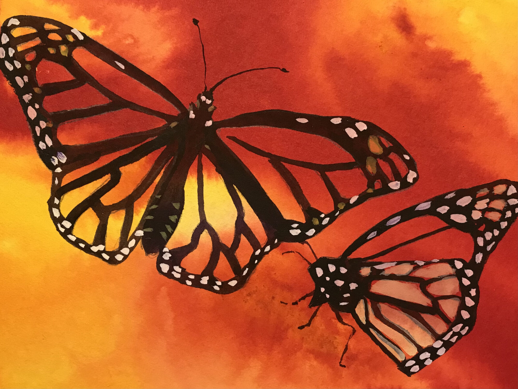 Learn to Paint Vibrant Butterflies - Fairlamb Lavender Farm